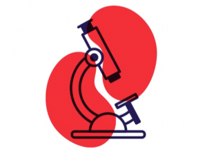 Mission and Vision | UKRO - University Kidney Research Organization